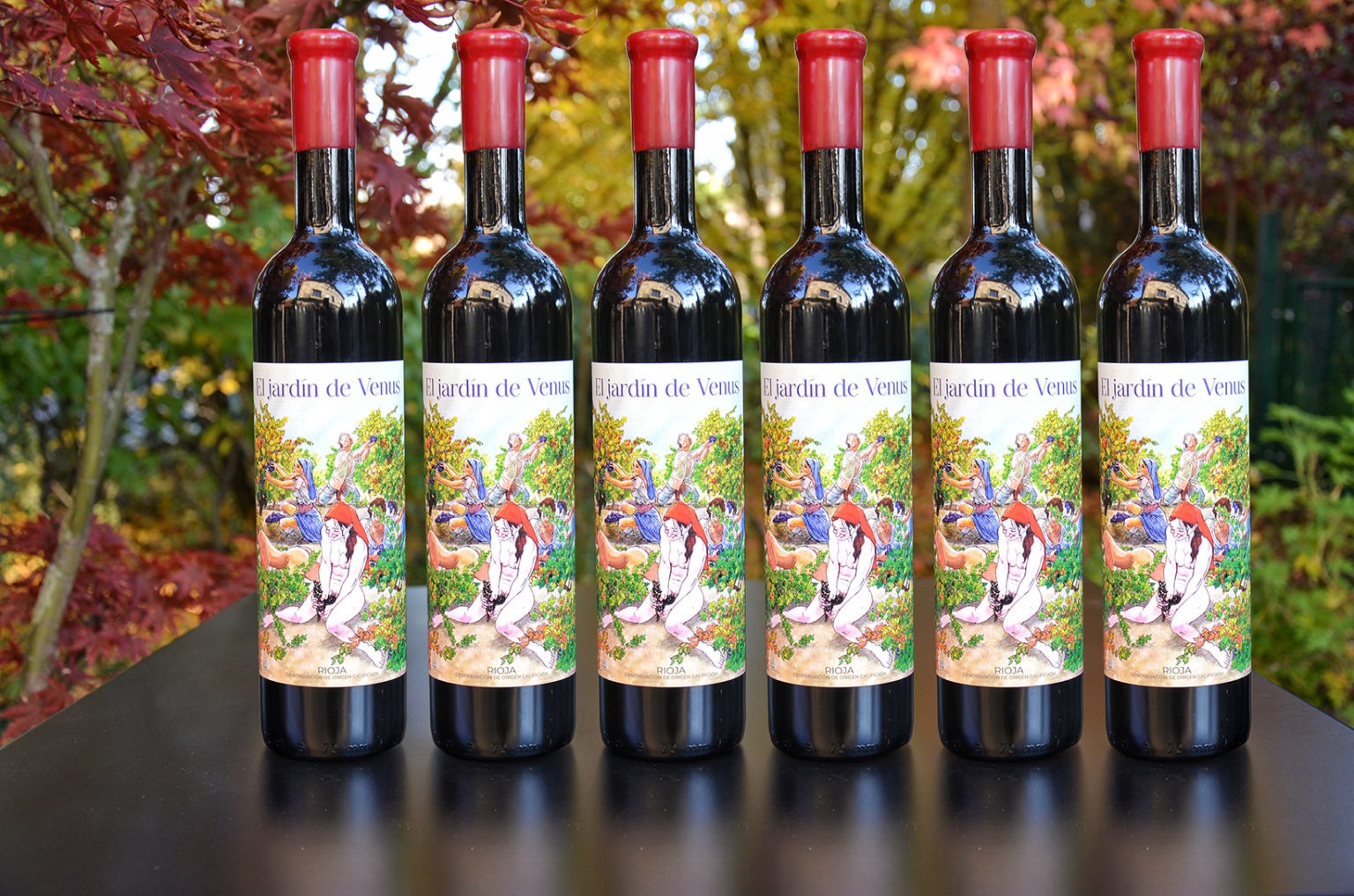 Vino Tinto «El jardín de Venus»: Caja de 6 botellas